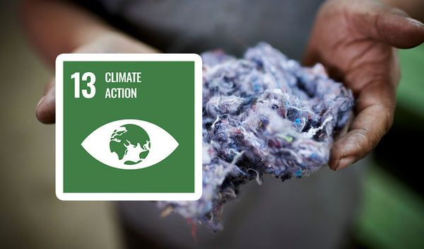 SDG13 Climate Action | Inclusive Trade